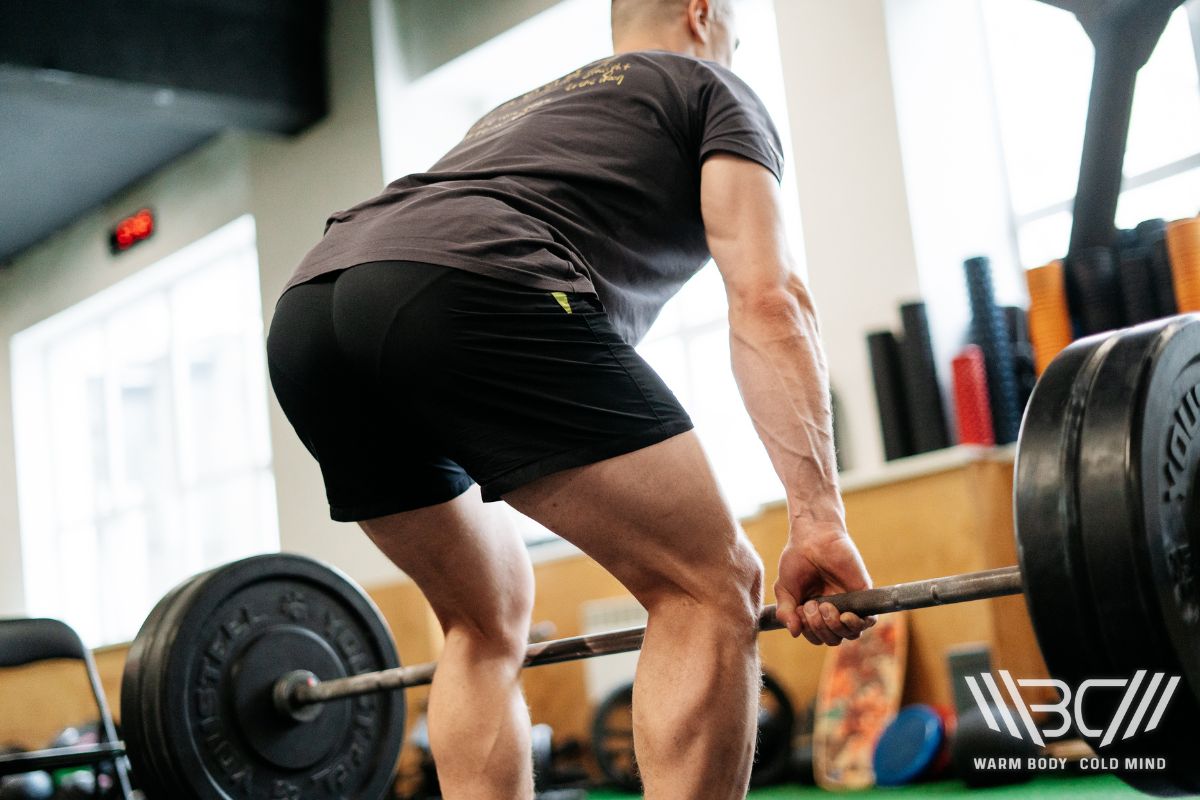 5 Best Barbell Lat Workout for Max Back Gains