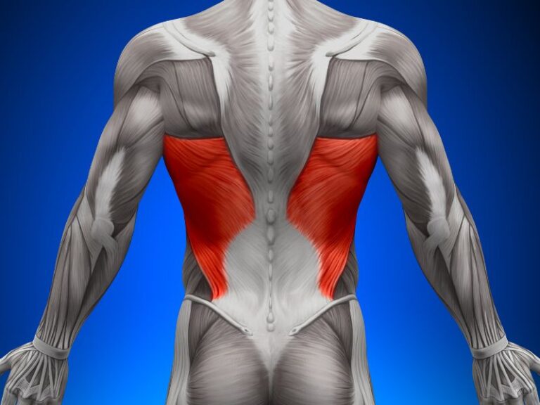 5 Best Barbell Lat Workout for Max Back Gains