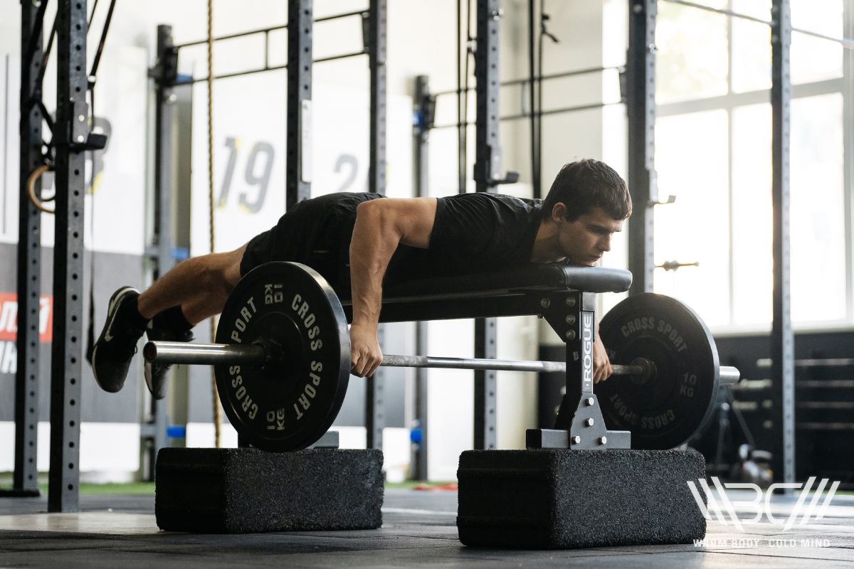 5 Best Barbell Lat Workout for Max Back Gains
